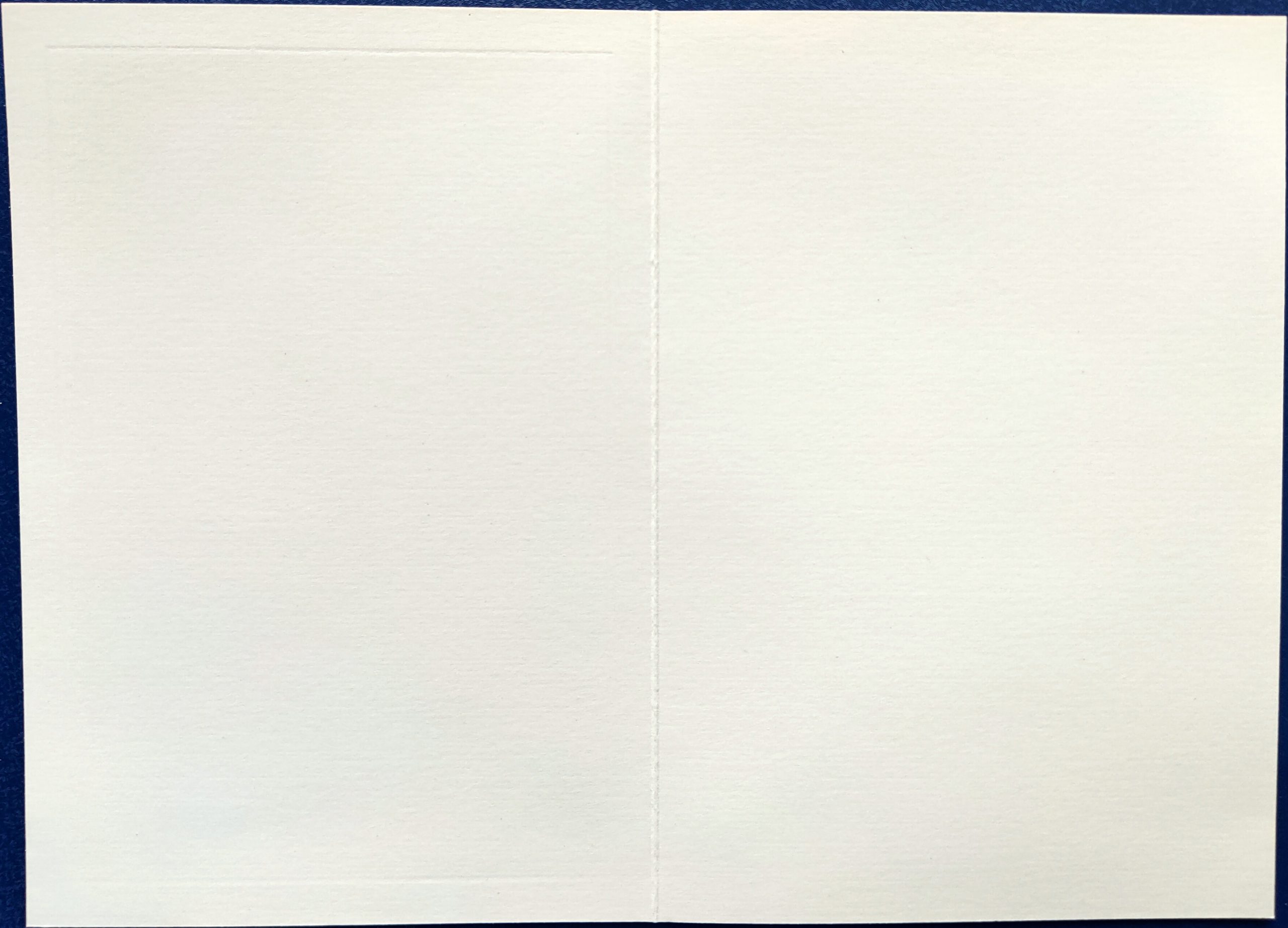 88213 – Handsome Rabbit LTD