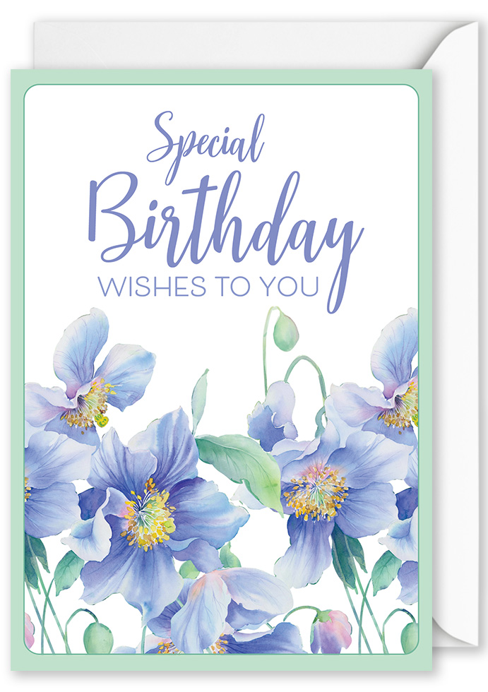 2379 – Handsome Rabbit LTD