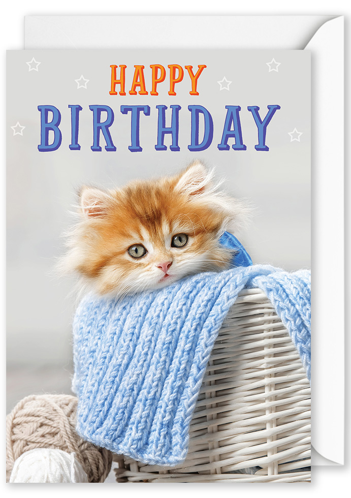 2382 – Handsome Rabbit LTD