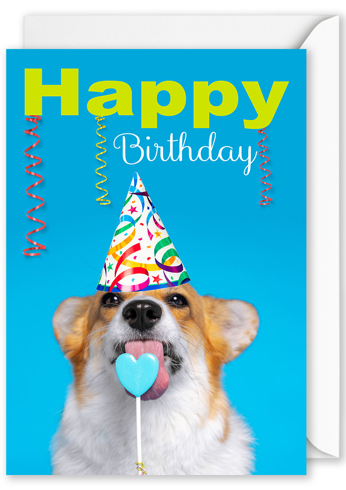 2386 – Handsome Rabbit LTD