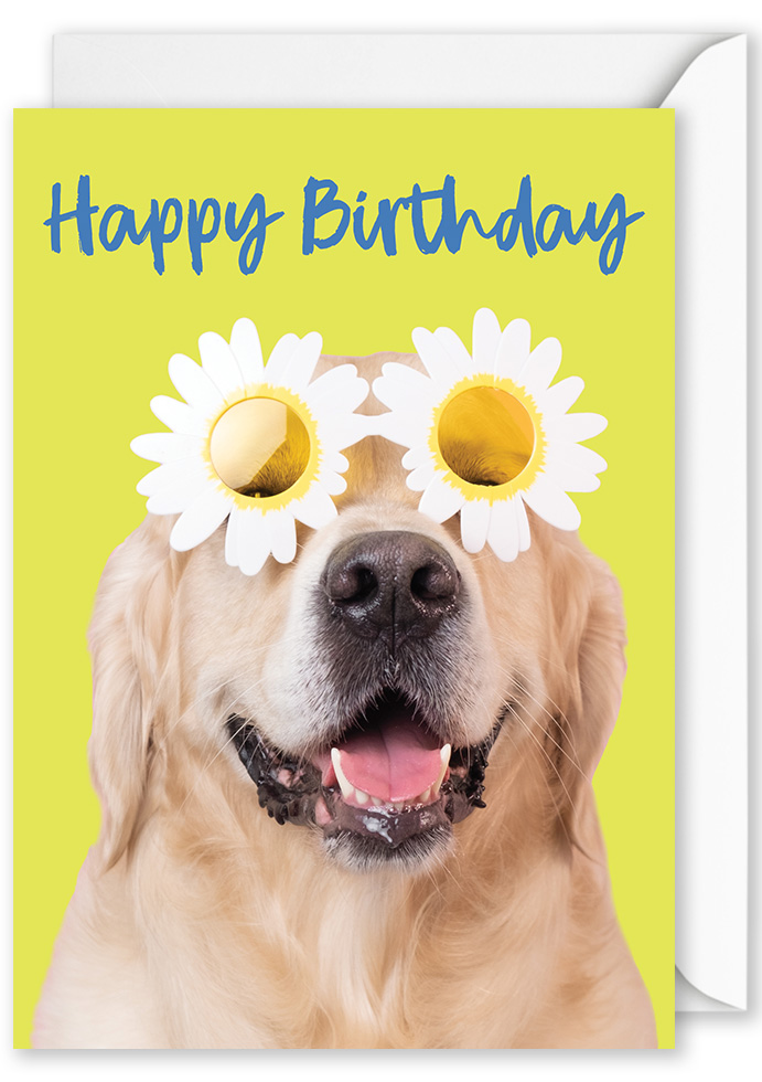 2459 – Handsome Rabbit LTD