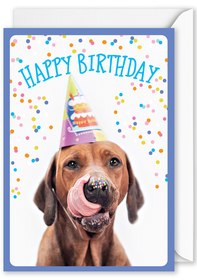 PB4036 – Handsome Rabbit LTD