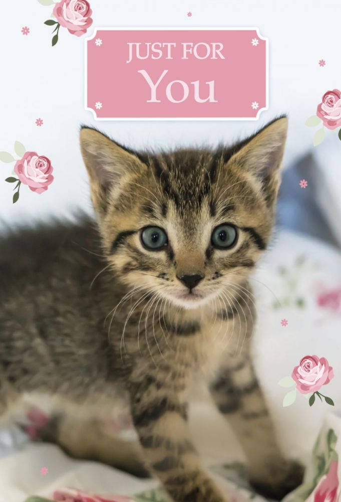 LG 4709（Small Gift Cards） – Handsome Rabbit LTD